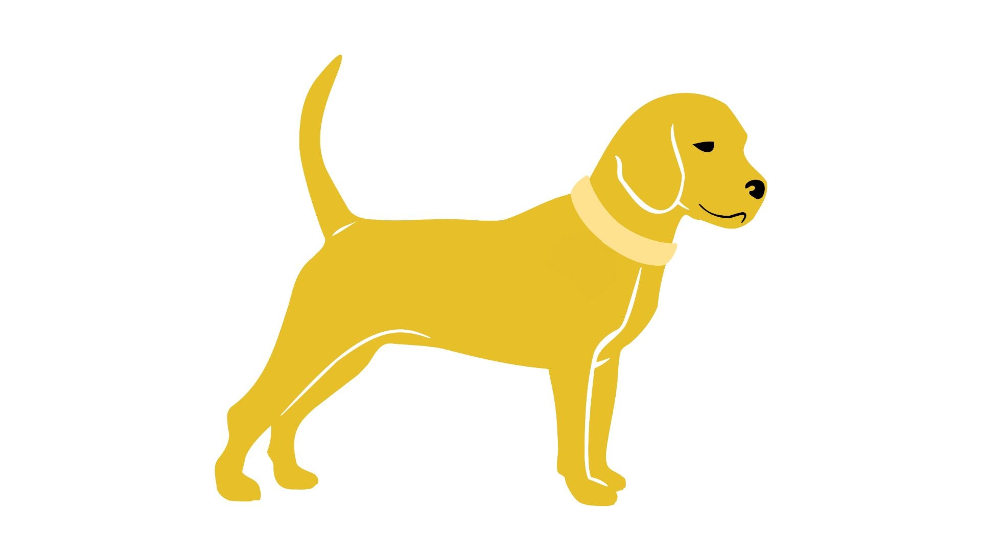 Unleashed Life Hats | Baseball Hats, Bucket Hats, Trucker Hats, Beanies ...